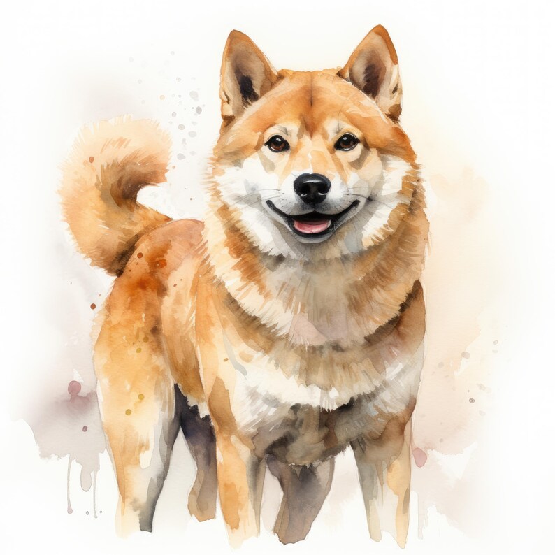 Shiba Inu Png Bundle – Shiba Inu Clipart – POD Allowed – Commercial Use ...