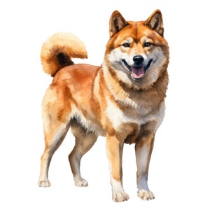 Shiba Inu Clipart – Shiba Inu Png Bundle – POD Allowed – Commercial Use ...