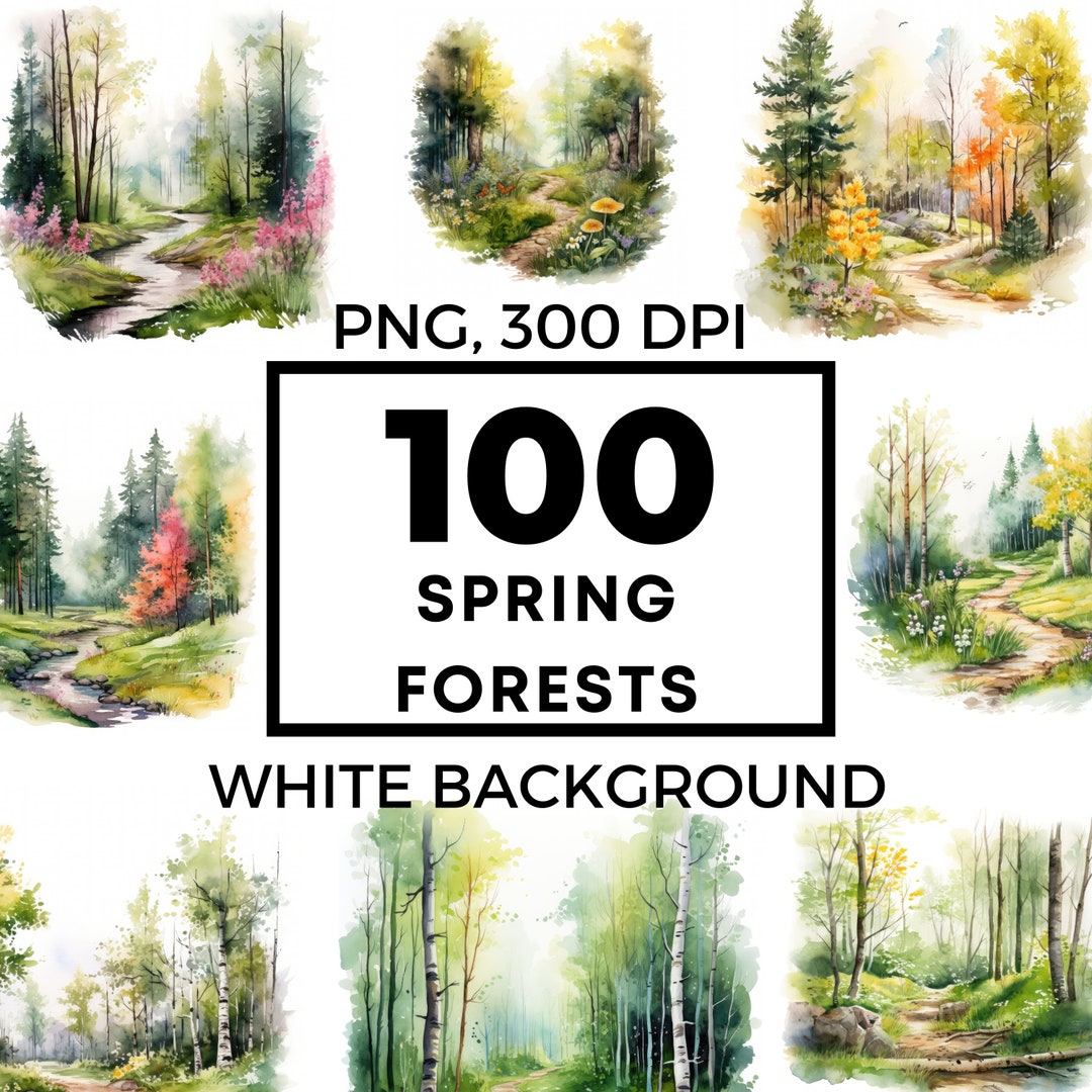 Spring Forest Clipart, Watercolor Spring Forest Art, Spring Landscape ...