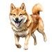 Shiba Inu Clipart Shiba Inu Png Bundle POD Allowed Commercial Use ...