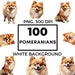 Shiba Inu Png Bundle – Shiba Inu Clipart – POD Allowed – Commercial Use ...