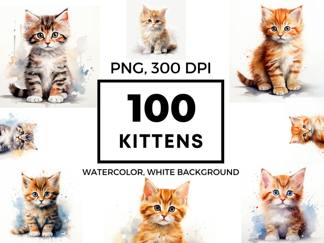Watercolor Kitten Clipart 100 PNG Images Cute Cats Cat - Etsy