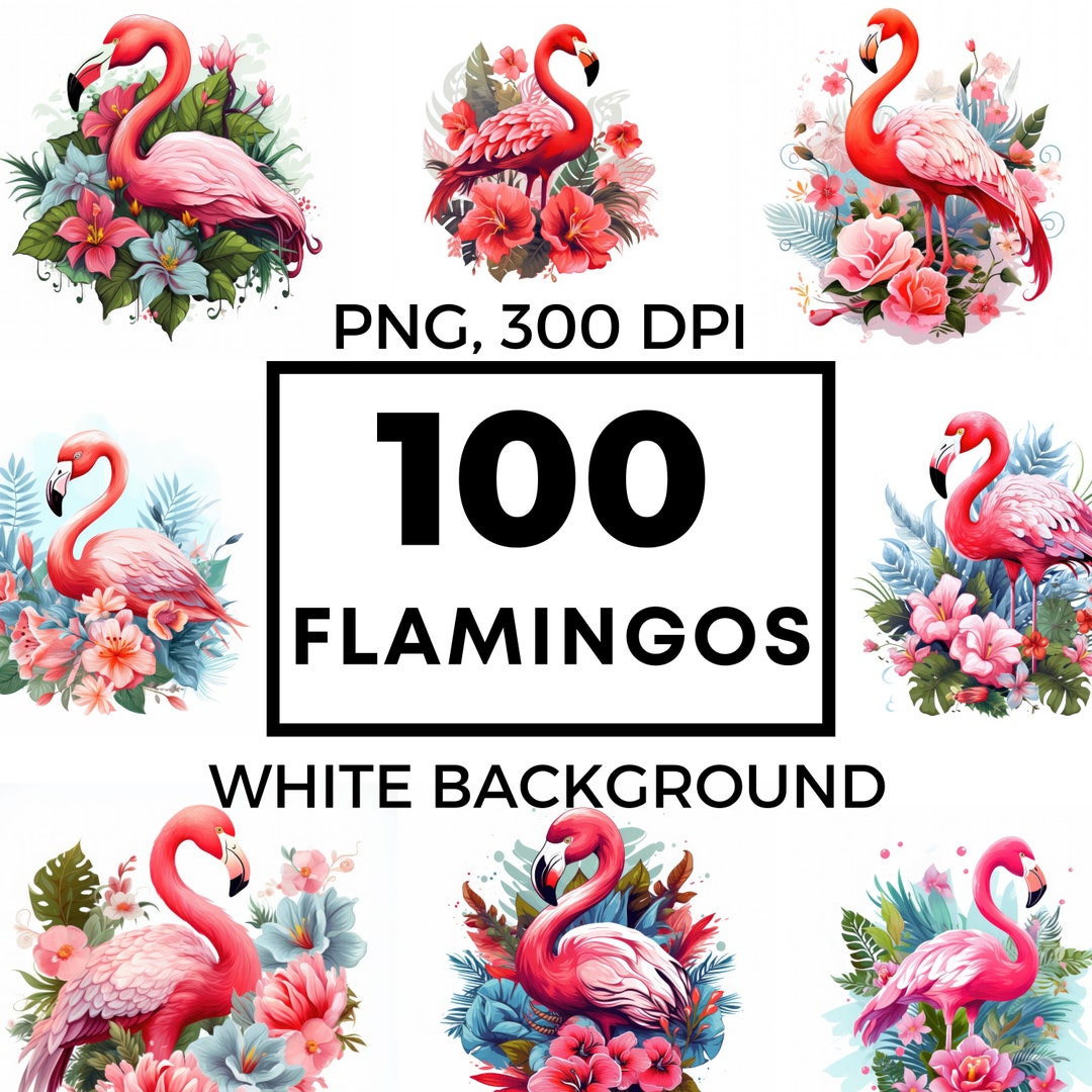 Watercolor Flamingo Clip Art, Flamingo Clipart Bundle, Flamingo Png ...