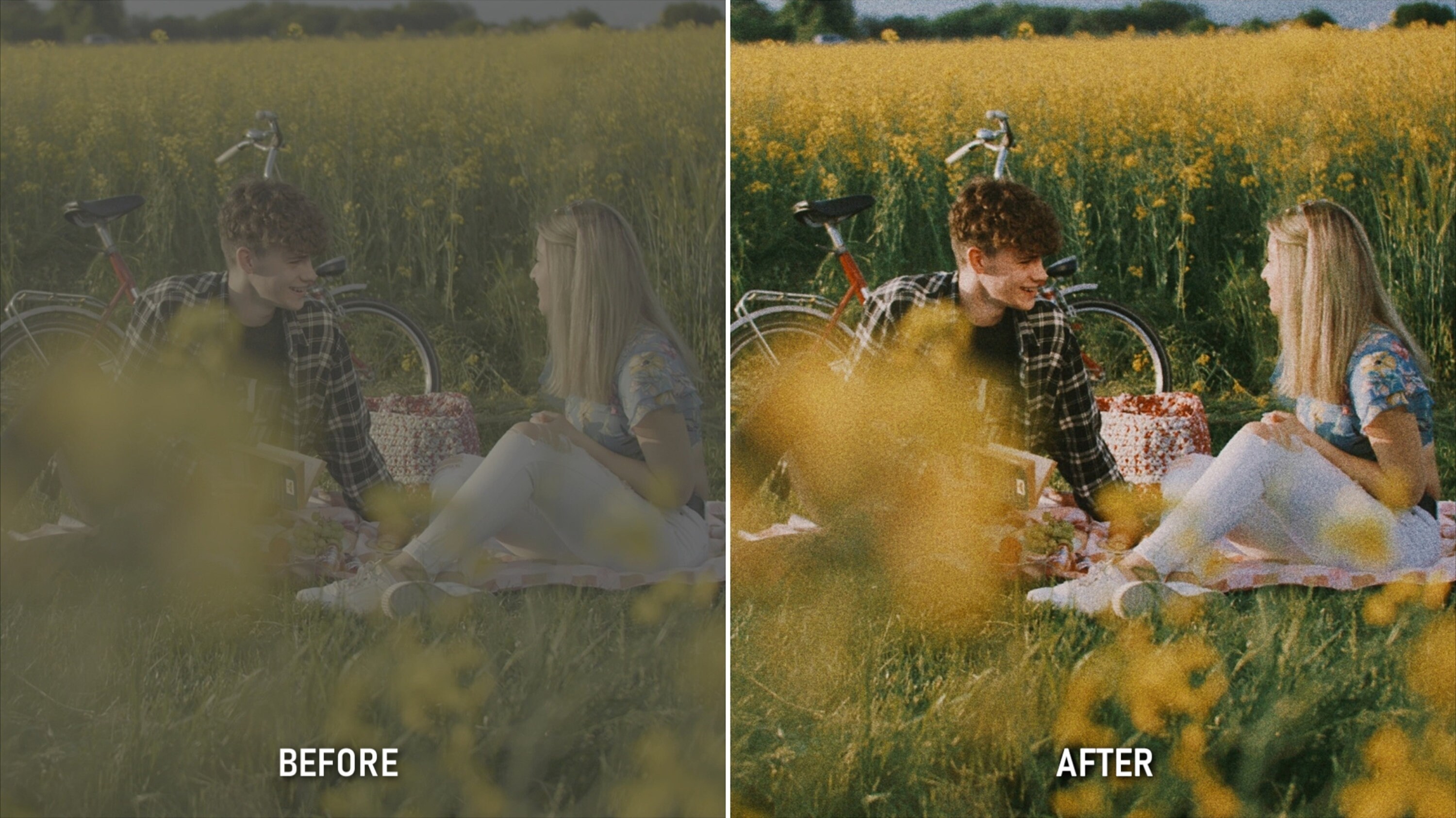 Film Spectrum Retro Emulation Luts - Etsy