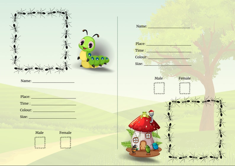 Bug Spotting Booklet Garden Insect Hunting Journal - Etsy