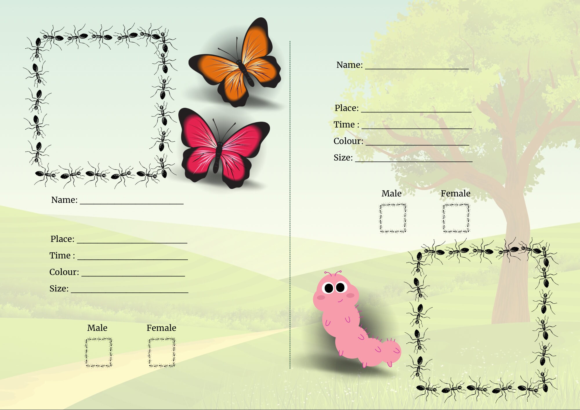 Bug Spotting Booklet Garden Insect Hunting Journal - Etsy