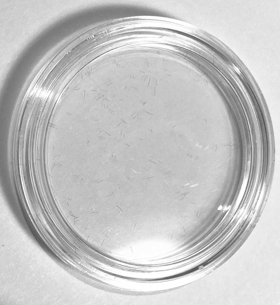 1 Oz Ounce Gold American Eagle Original US Mint Capsule - Etsy