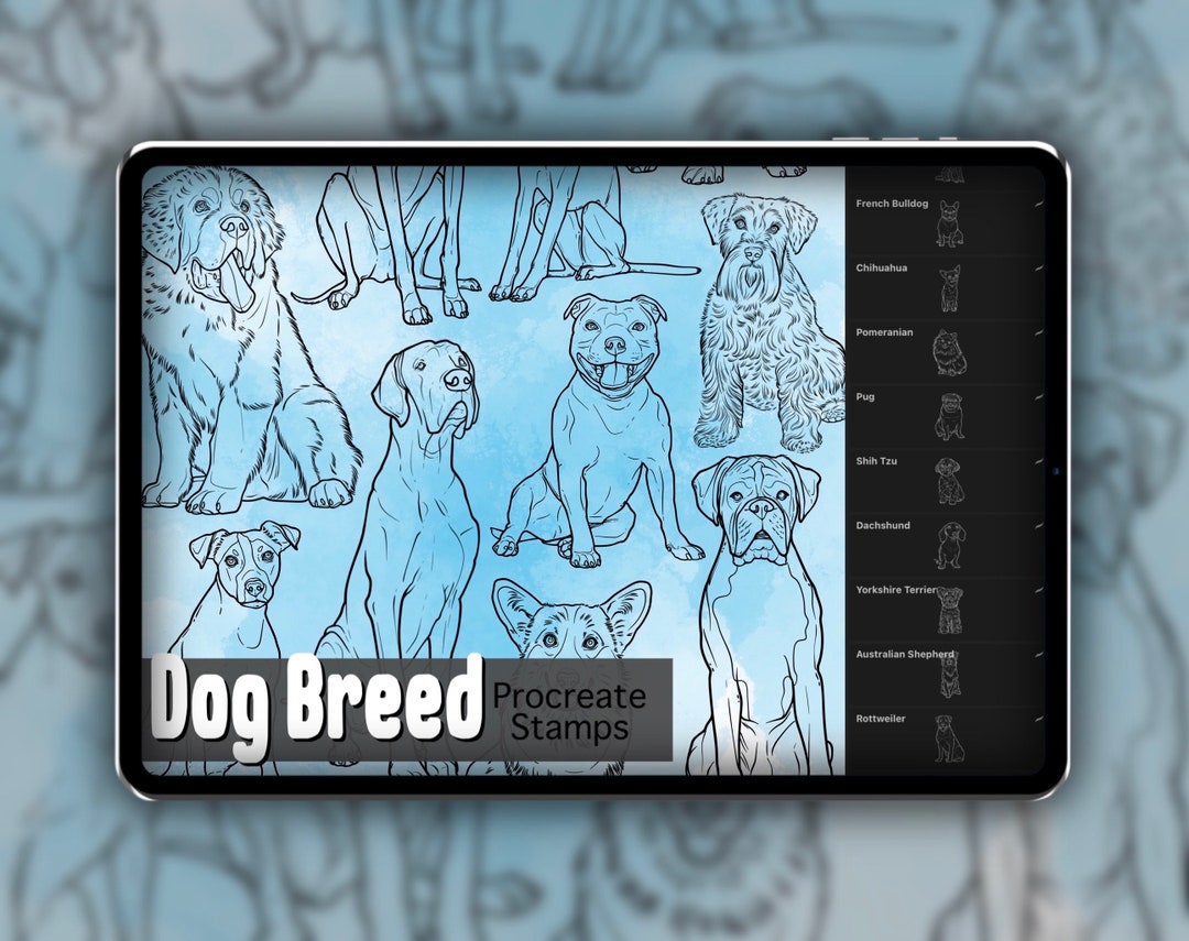 Dog Breed Procreate Stamp Set 1 - 30 Dog Breed Brush Stamps ...