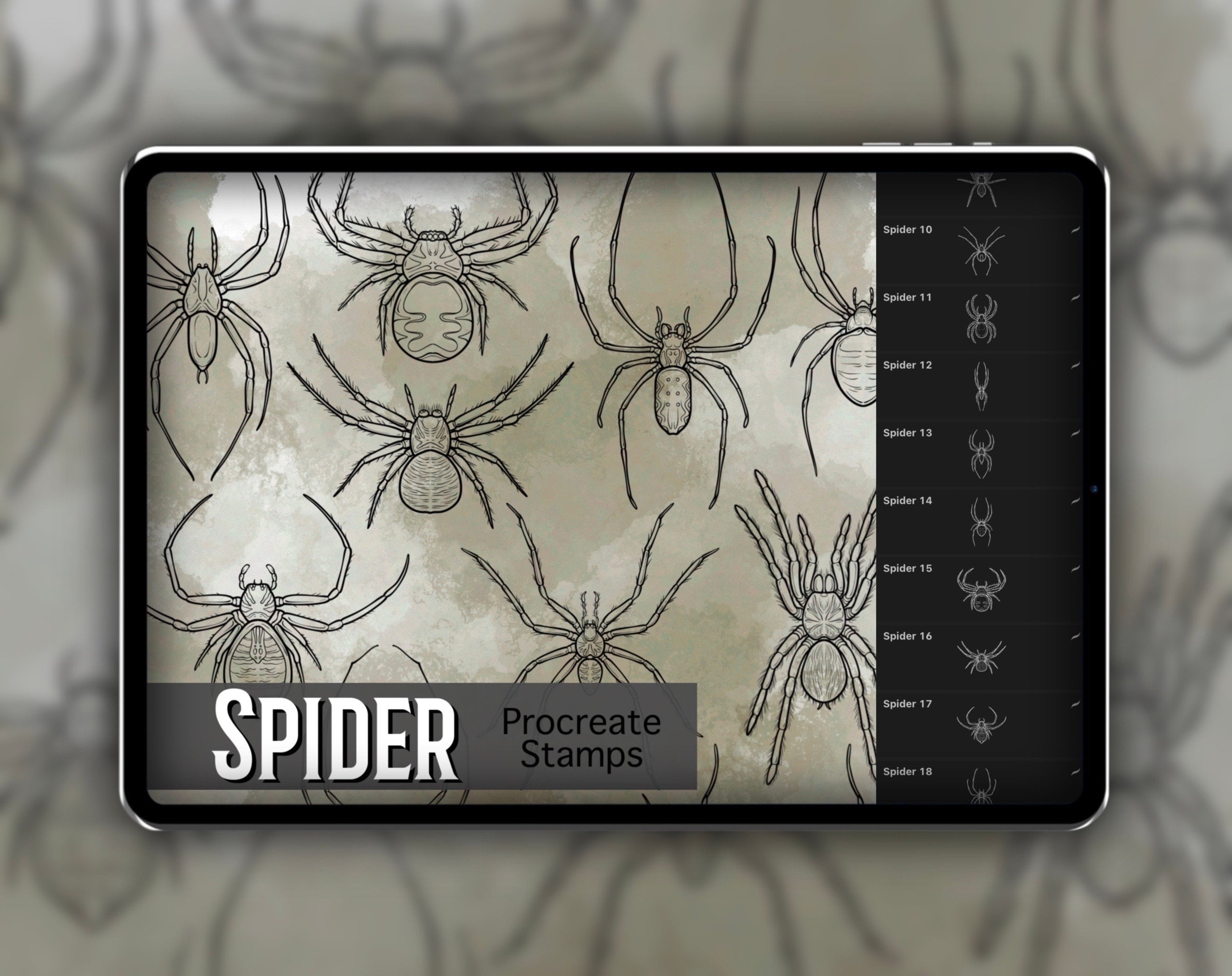 Spider Procreate Stamp Set 1 - 25 Spider Arachnid Bug Insect Brush ...