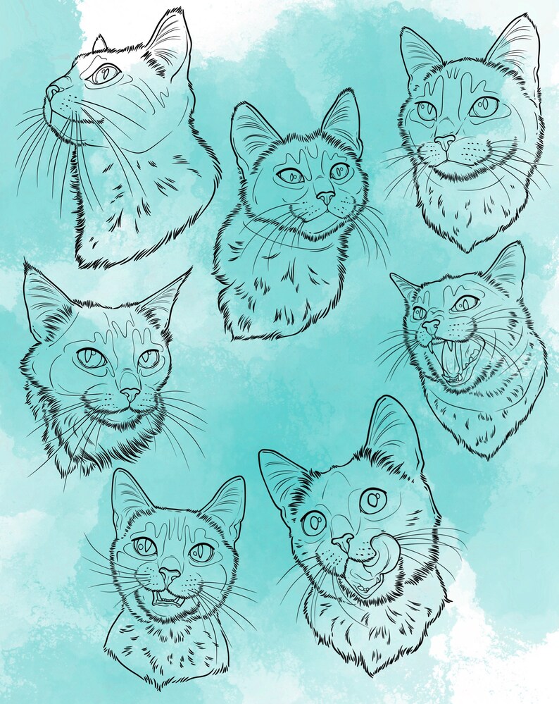 Cat Procreate Stamp Set 1 25 Feline Cats Kittens Animal Brush Stamps ...