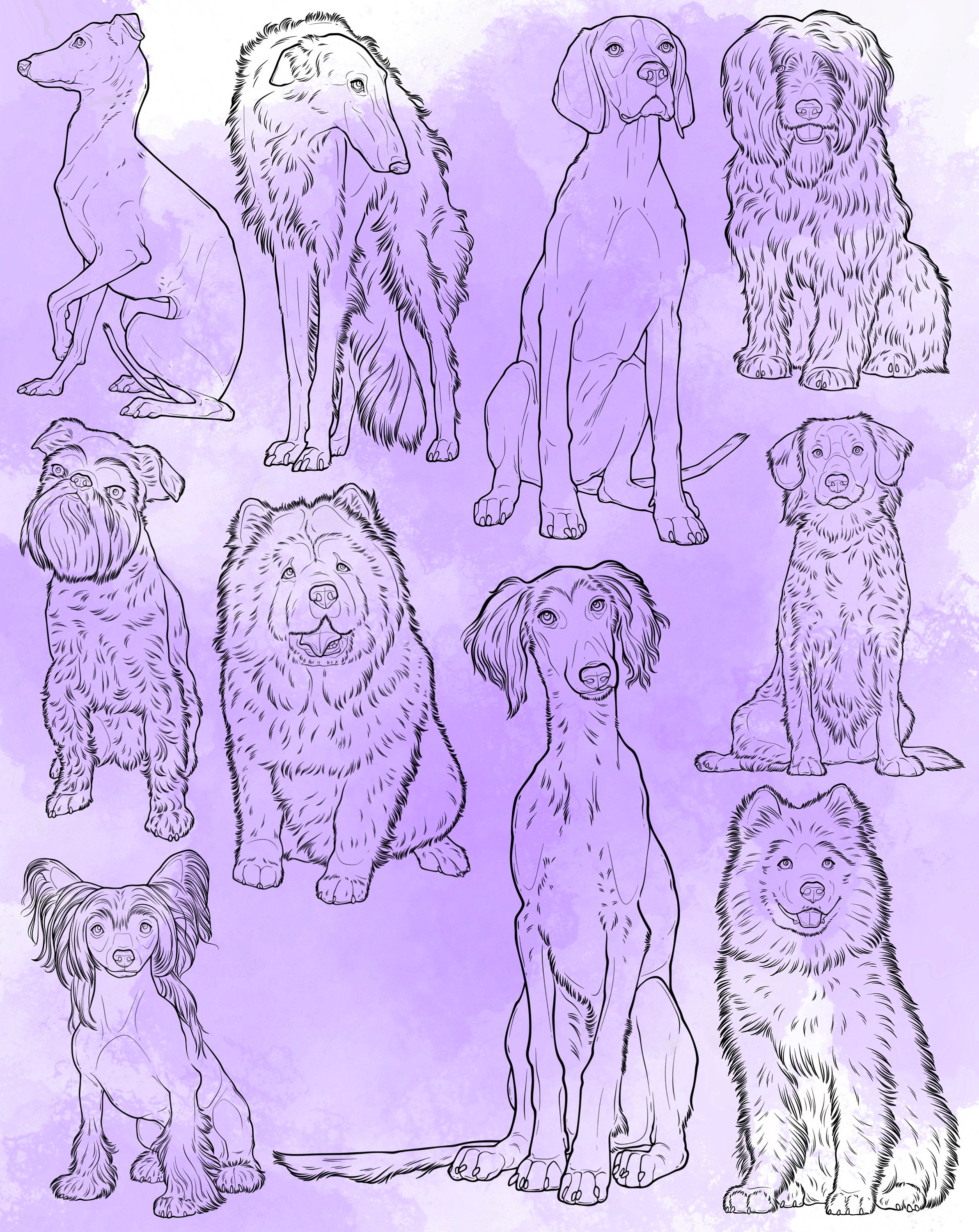 Dog Breed Procreate Stamp Set 2 - 30 Dog Breed Brush Stamps ...