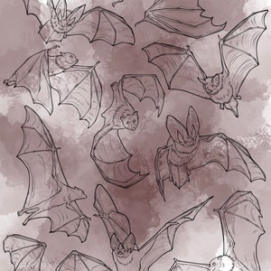 Bat Procreate Stamp Set 1 - 20 Bat Wing Mammal Brush Stamps ...