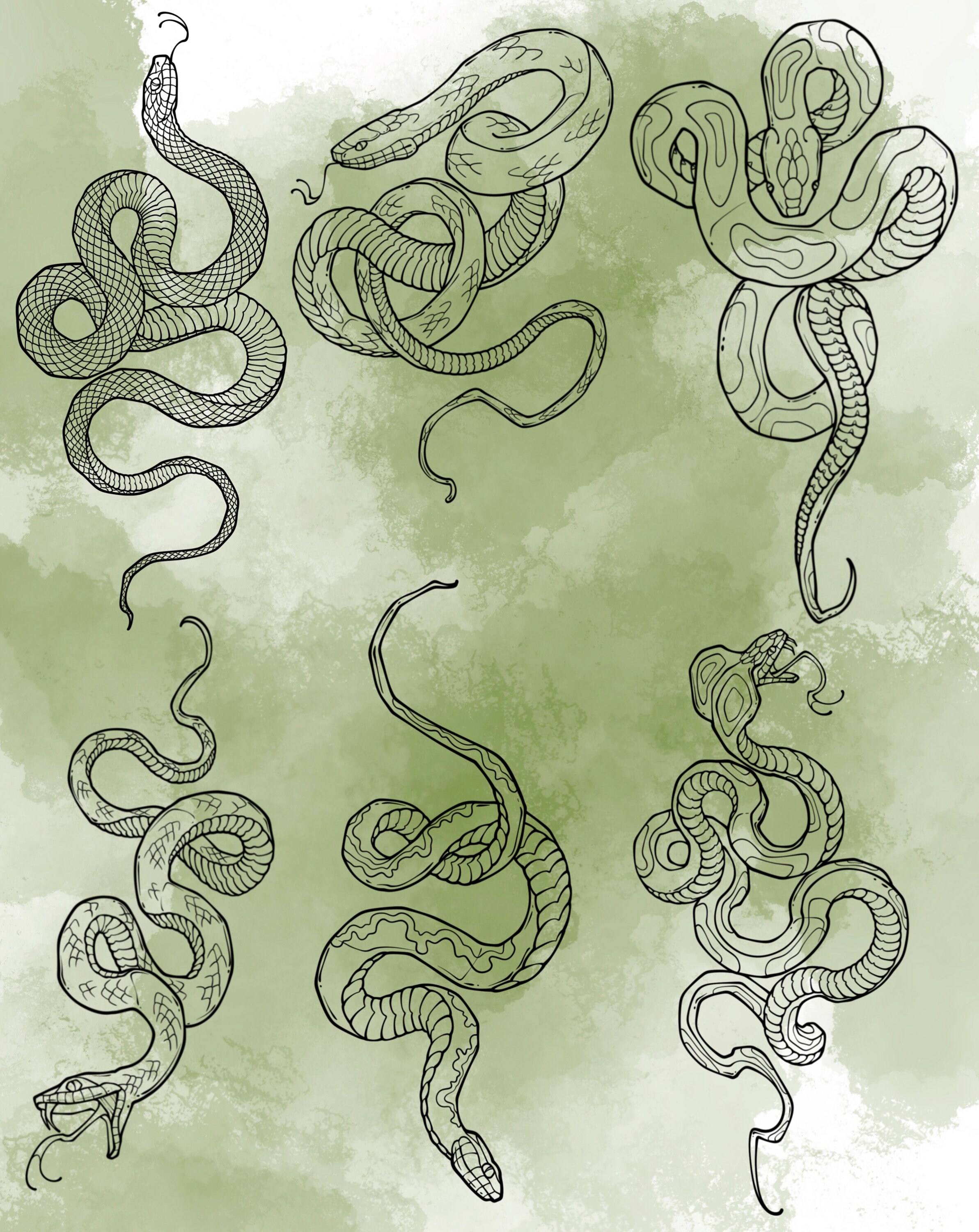 Snake SVG PNG Set 1 50 Snake Reptile SVG Vector Images Transparent ...