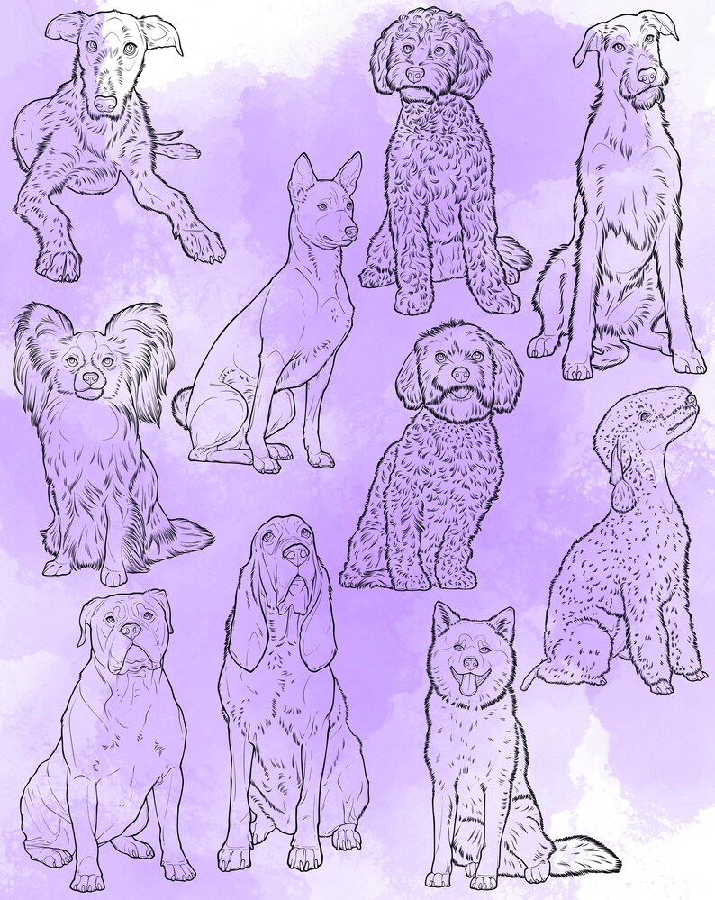 Dog Breed Procreate Stamp Set 2 30 Dog Breed Brush Stamps Illustrations ...