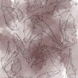 Bat Procreate Stamp Set 1 - 20 Bat Wing Mammal Brush Stamps ...