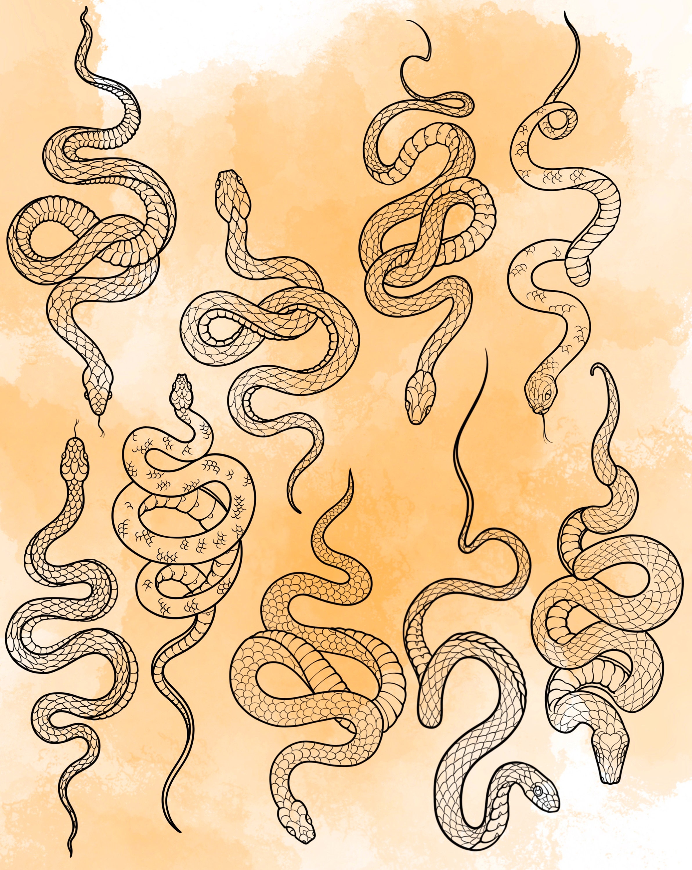 Snake SVG PNG Set 1 50 Snake Reptile SVG Vector Images Transparent ...