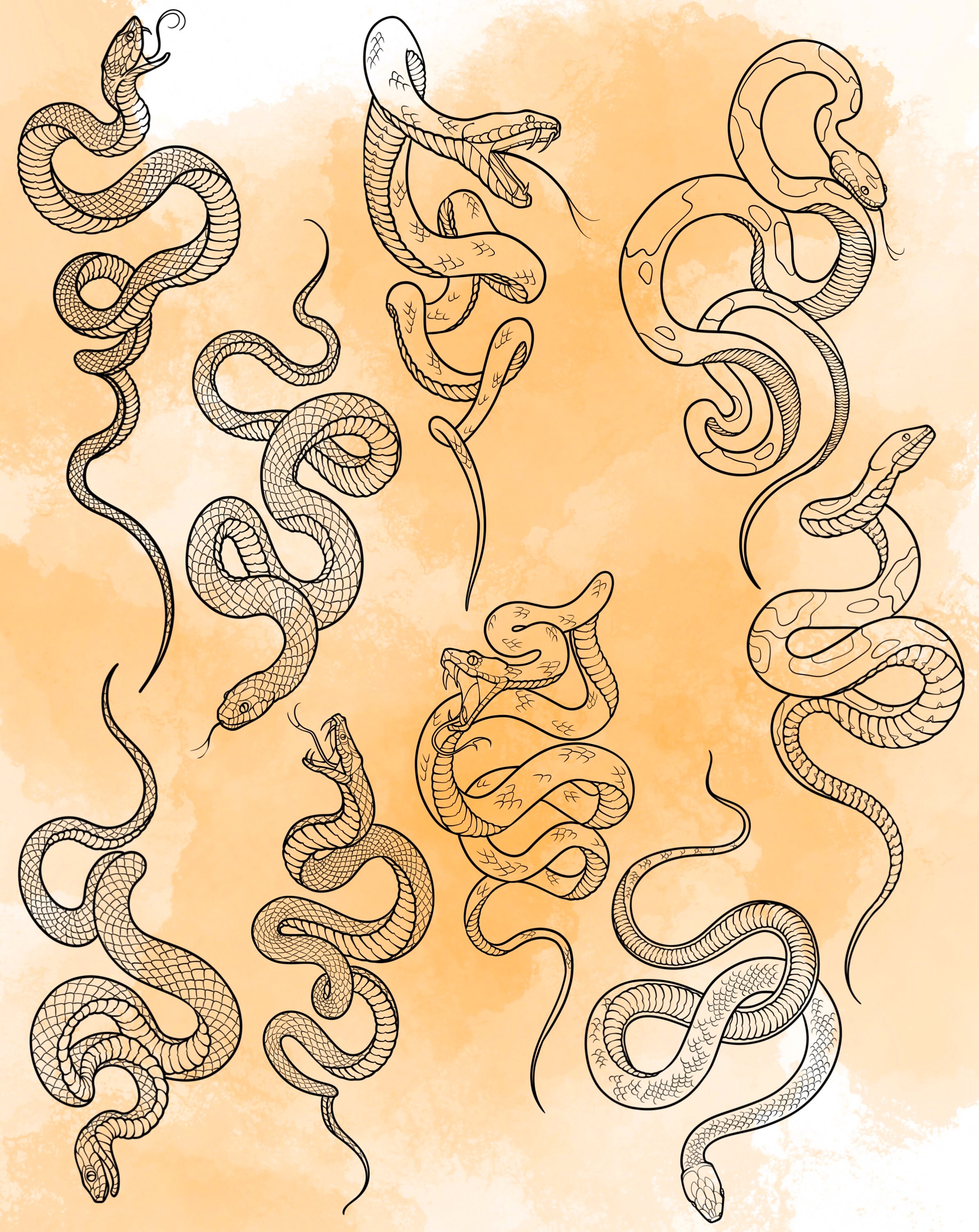 Snake SVG PNG Set 1 50 Snake Reptile SVG Vector Images Transparent ...