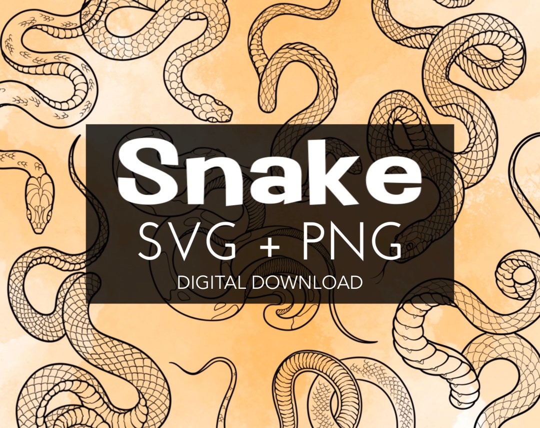 Snake SVG + PNG Set 1 - 50 Snake Reptile SVG Vector Images Transparent ...