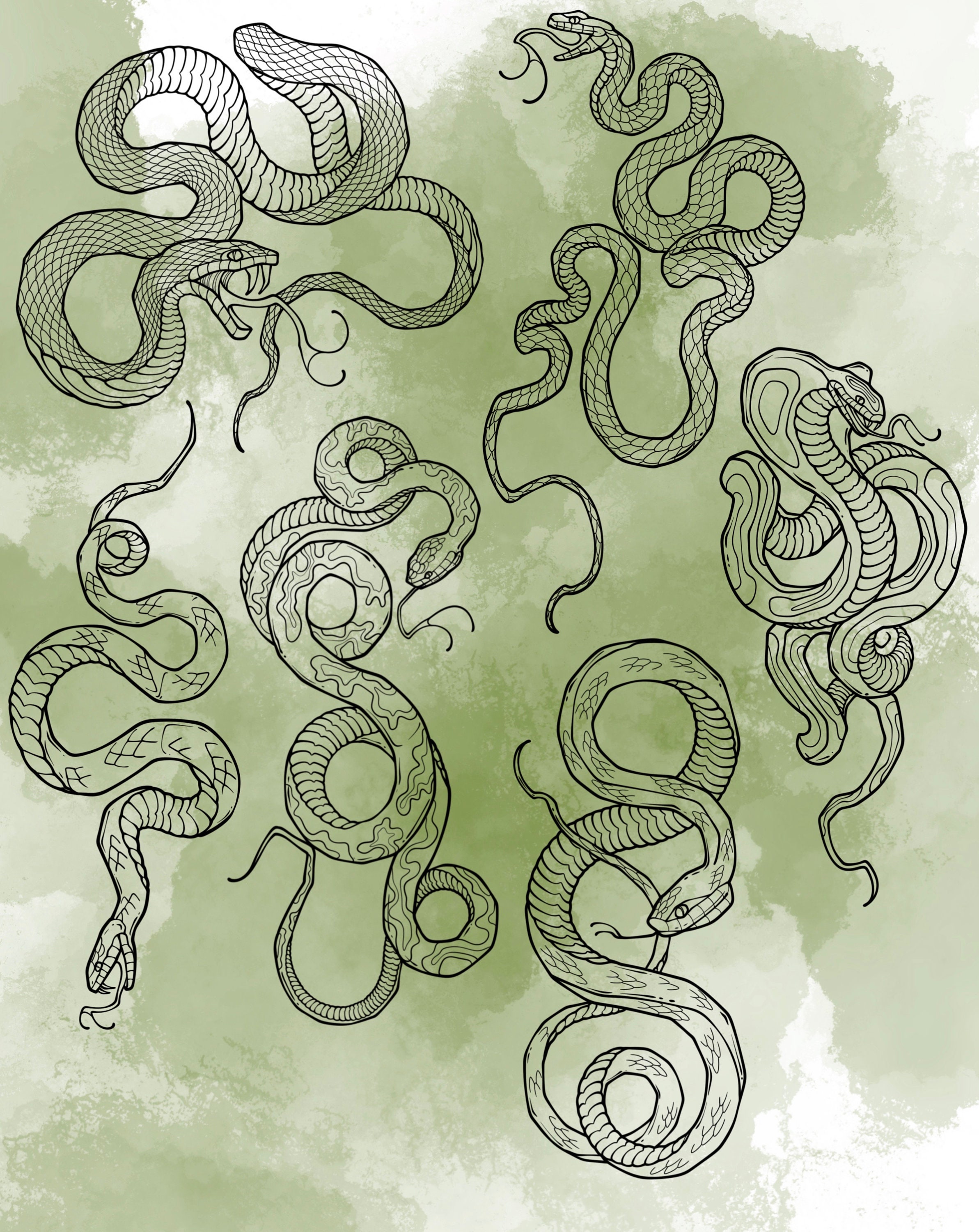 Snake Procreate Stamp Set 2 25 Snake Serpent Reptile Brush - Etsy