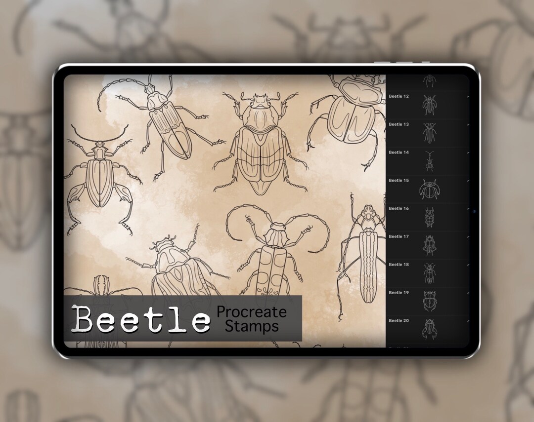 Beetle Procreate Stamp Set 1 - 25 Beetle Insect Brush Stamps ...