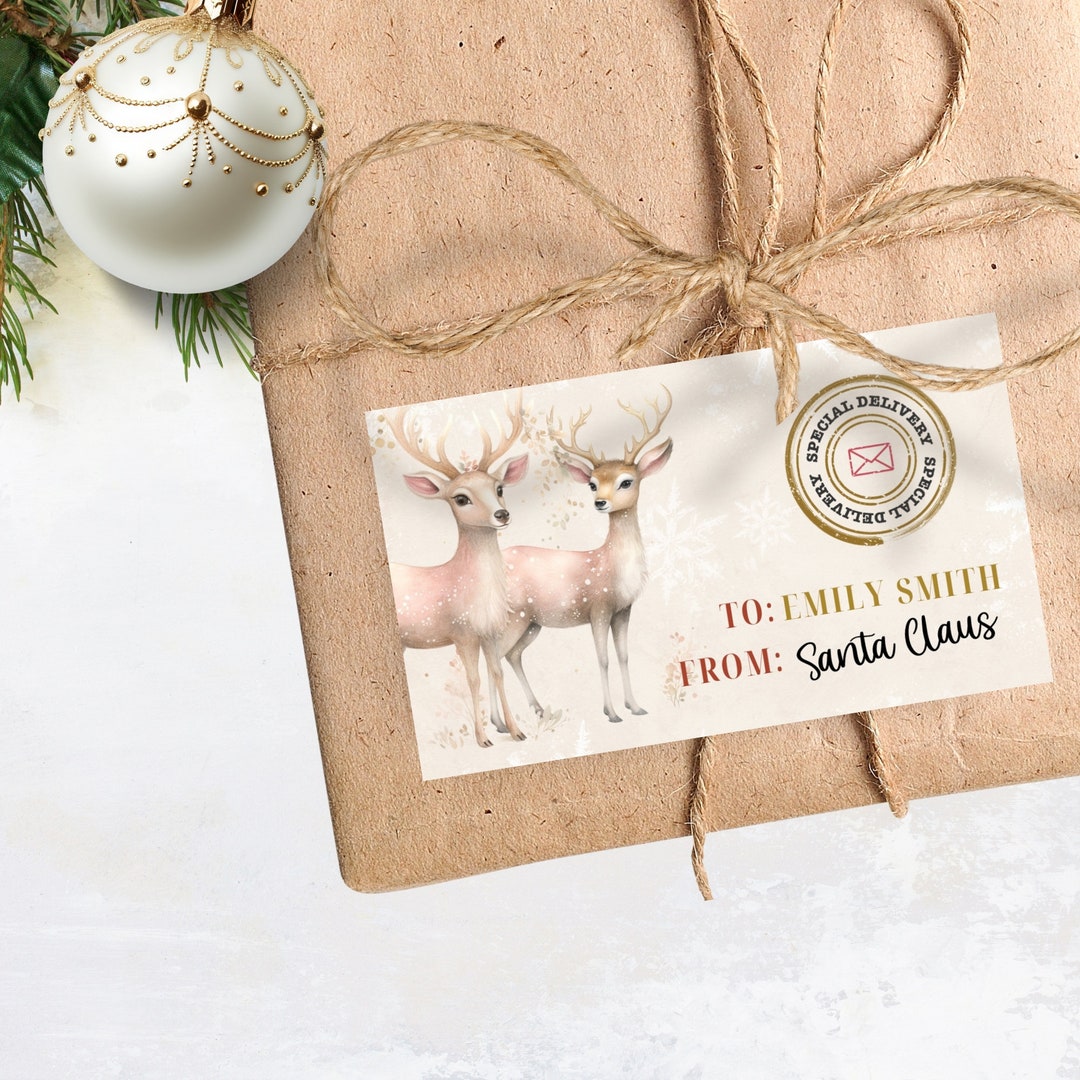 Special Delivery From Santa Sticker, Editable North Pole Mail Label ...