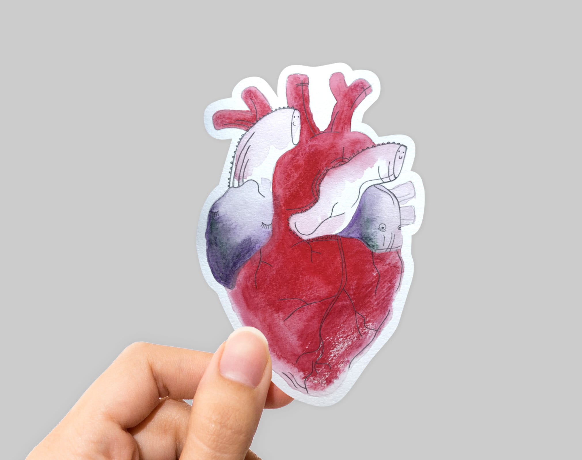 Anatomical Heart, Anatomical Heart Laptop Stickers, Vinyl Stickers ...