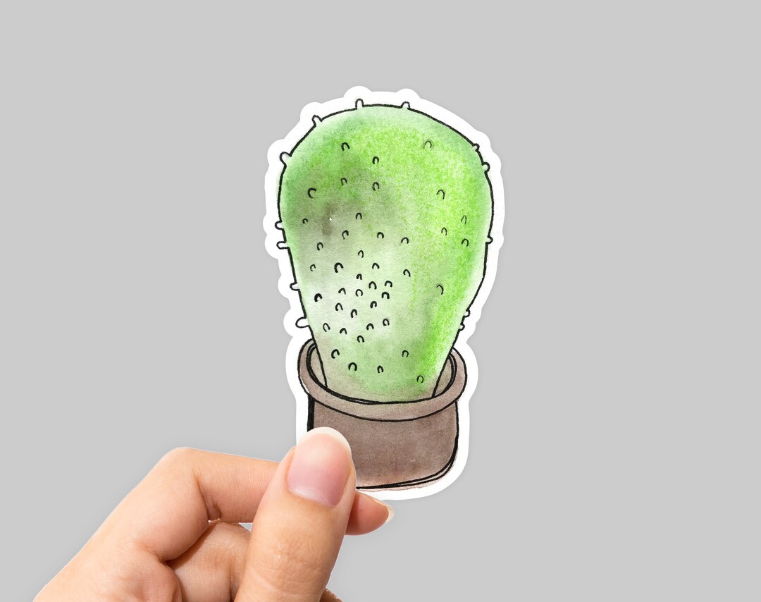 Cactus Sticker, Cute Sticker, Vinyl Sticker, Cute Cactus, Anniversary ...