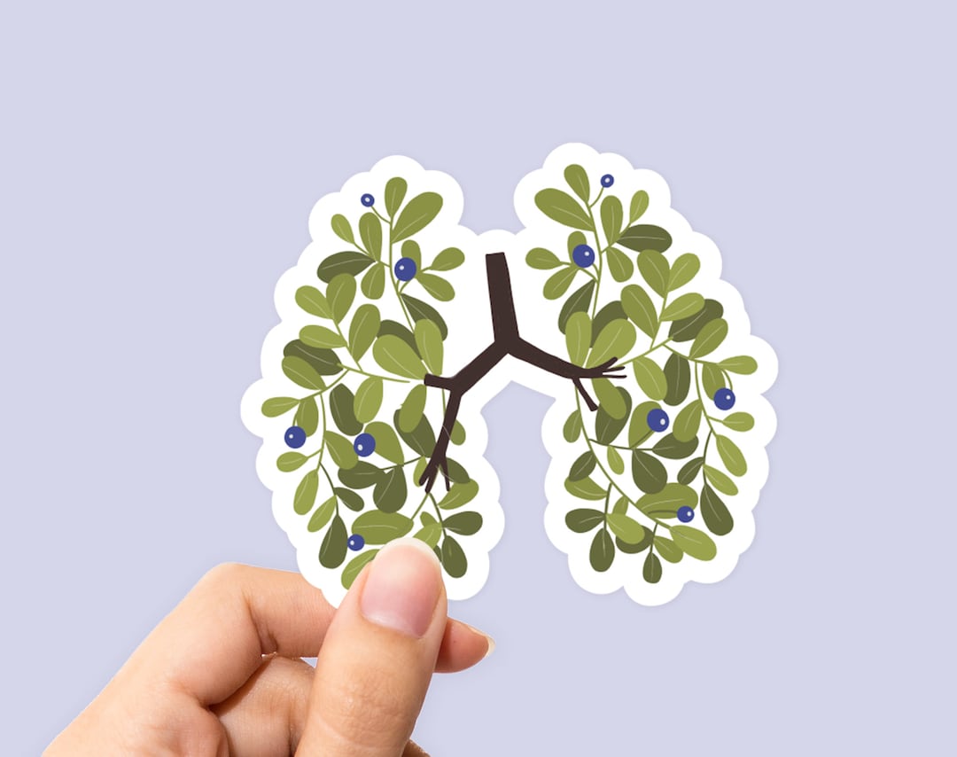 Lungs Sticker, Breathe Sticker, Air Sticker, Anatomical Sticker, Body ...