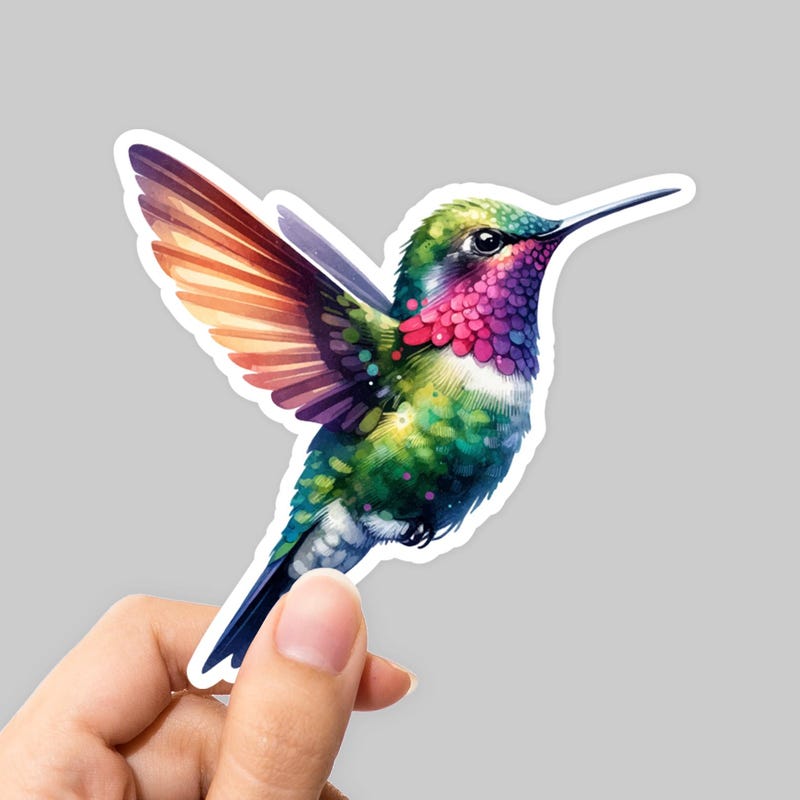 Hummingbird Sticker - Etsy