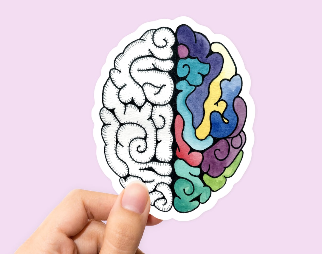 Brain Sticker, Rainbow Brain Sticker, Brain Decal, Watercolor Sticker ...