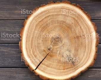 10 Wood Discs/slices Rustic Wood Slices With Live Edge for - Etsy