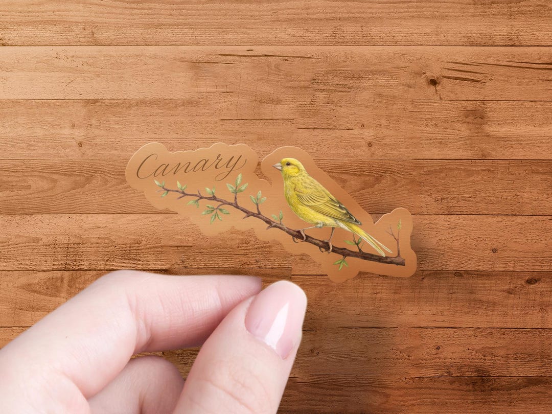 Cute Yellow Bird Sticker, Laptop Decal, Bird Illustration, Nature ...
