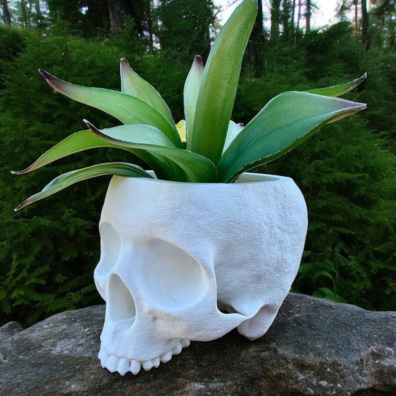 Skull Planter - Etsy