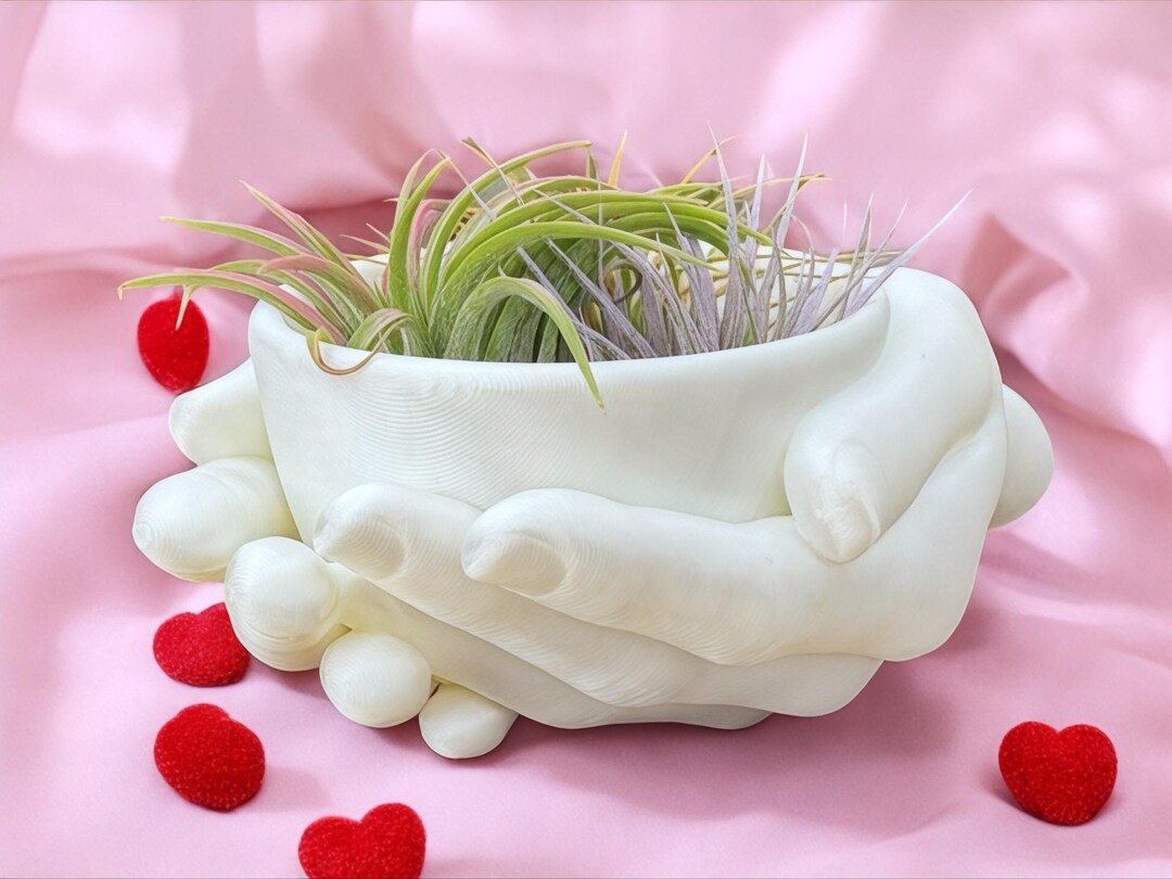 Hands Planter & Jewelry Container - Unique Decorative Holder for Desk ...