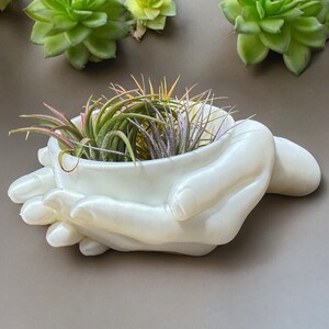 Hands Planter & Jewelry Container - Unique Decorative Holder for Desk ...