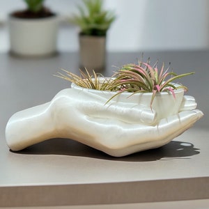Hands Planter & Jewelry Container - Unique Decorative Holder for Desk ...