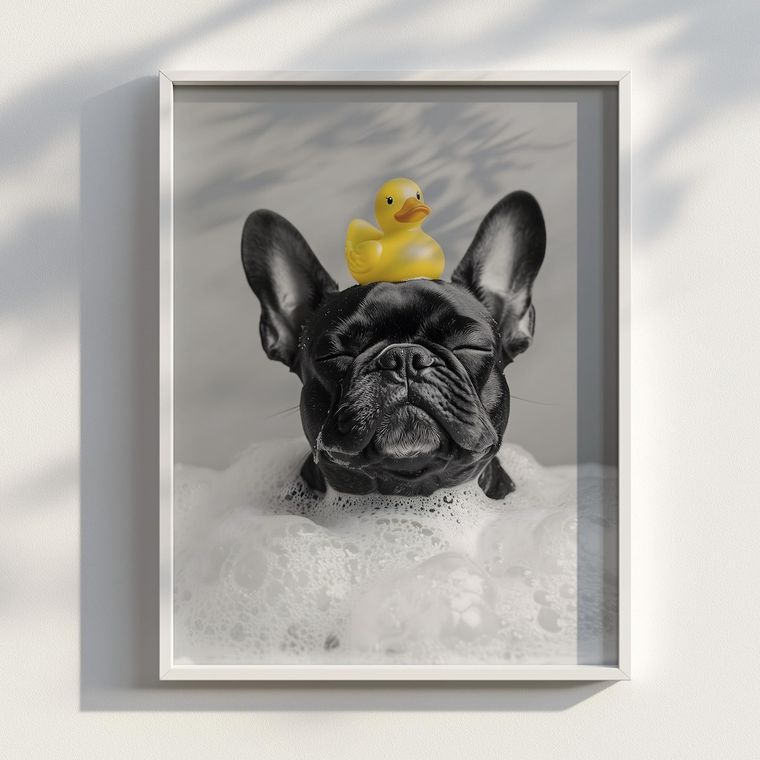 Foamy Frenchie - Frenchie Art, Frenchy Poster, Funny Dog Bathroom Print ...