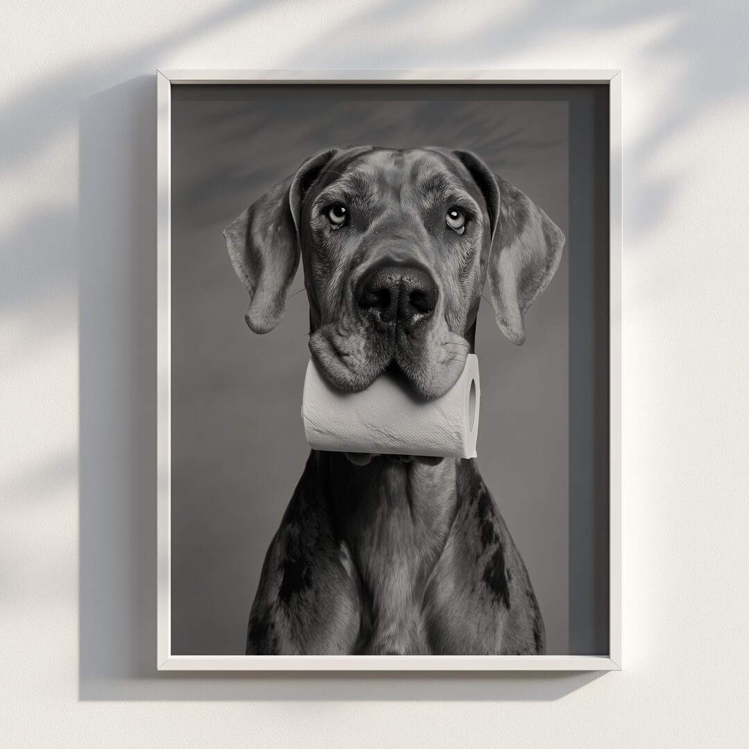 Funny Great Dane Toilet Paper Mouth Black White Photo | Dog Bathroom ...