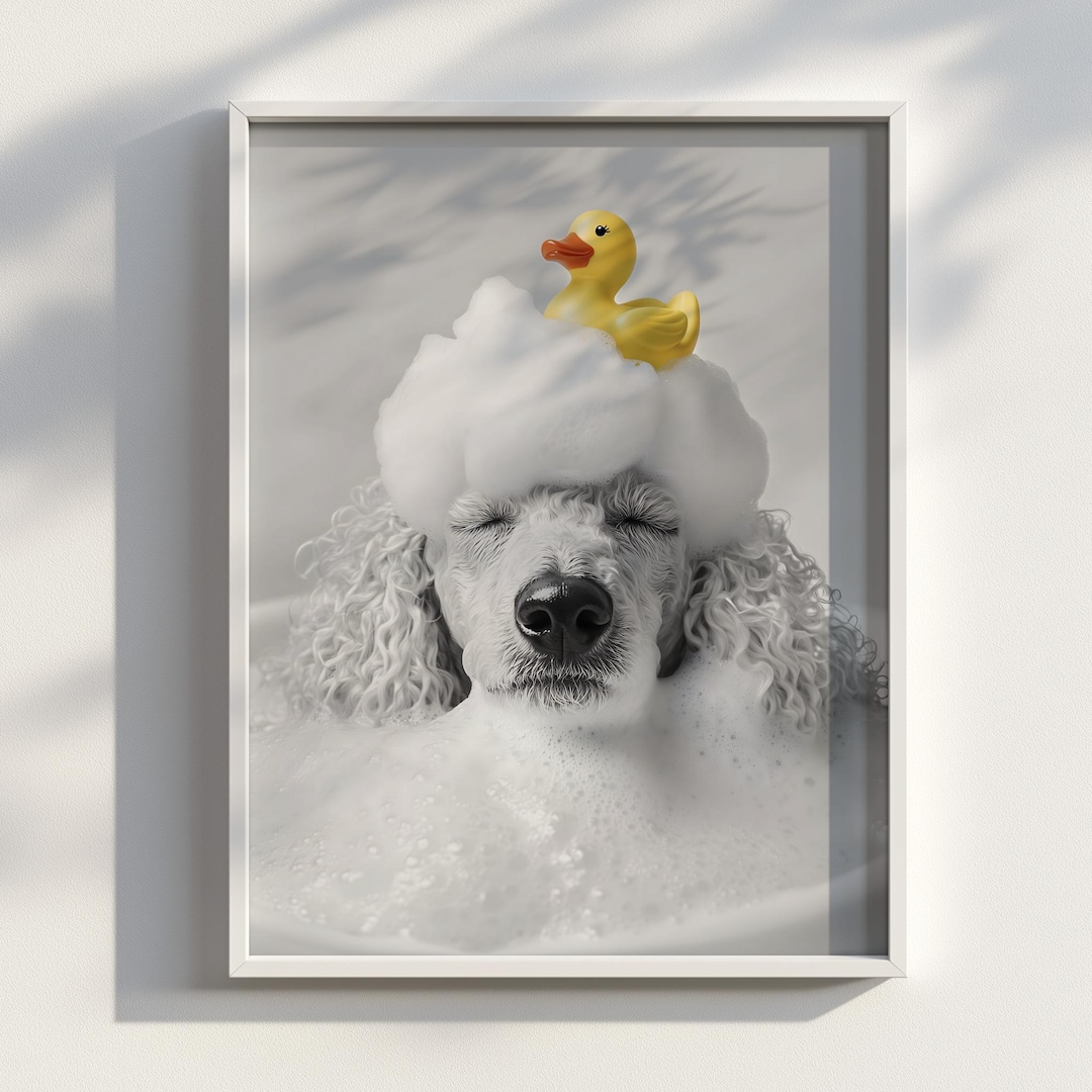 Funny Poodle in Bubble Bath Black | Digital Download | Printable Wall ...