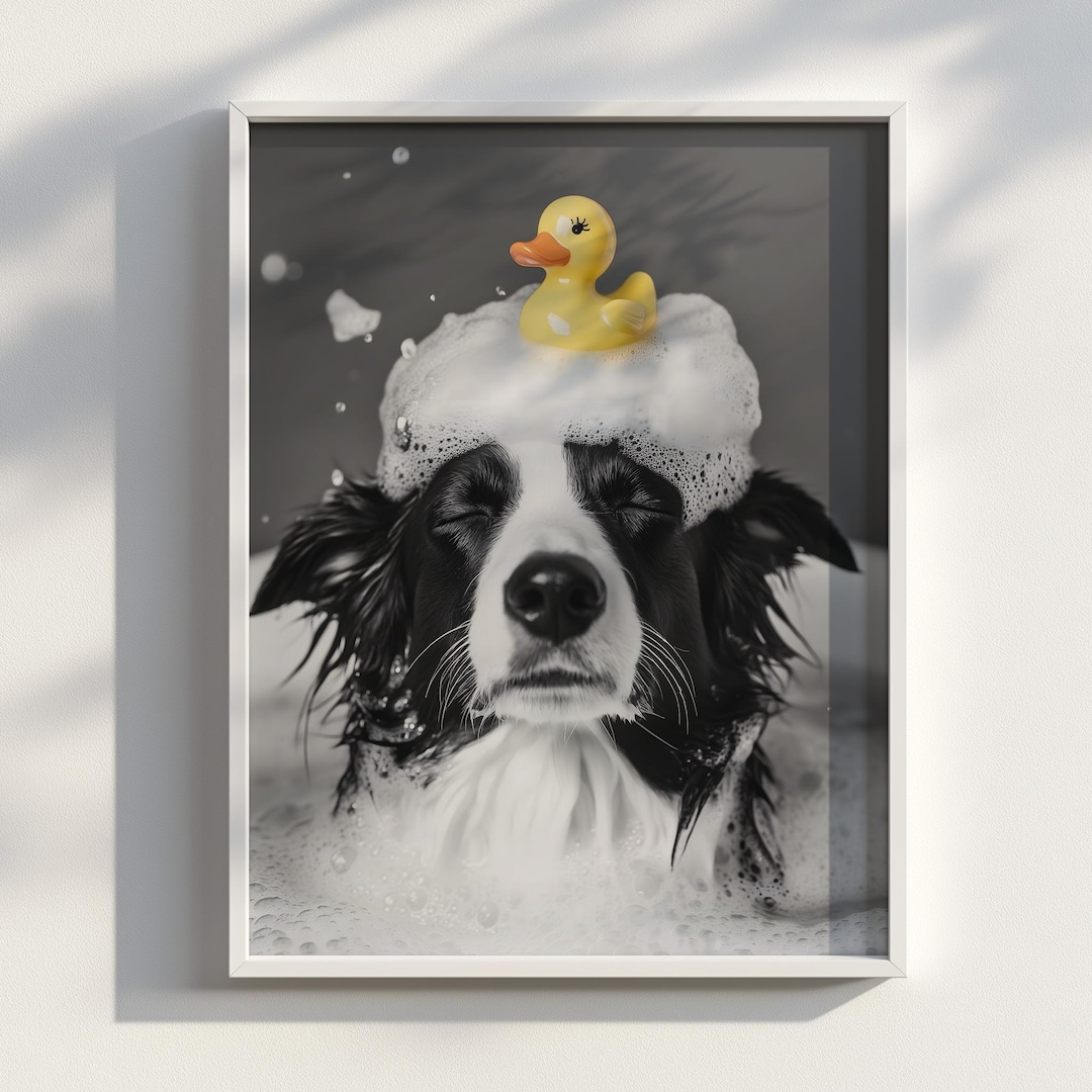 Bubbly Border Collie - Cute Doggo | Digital Download | Printable Wall ...