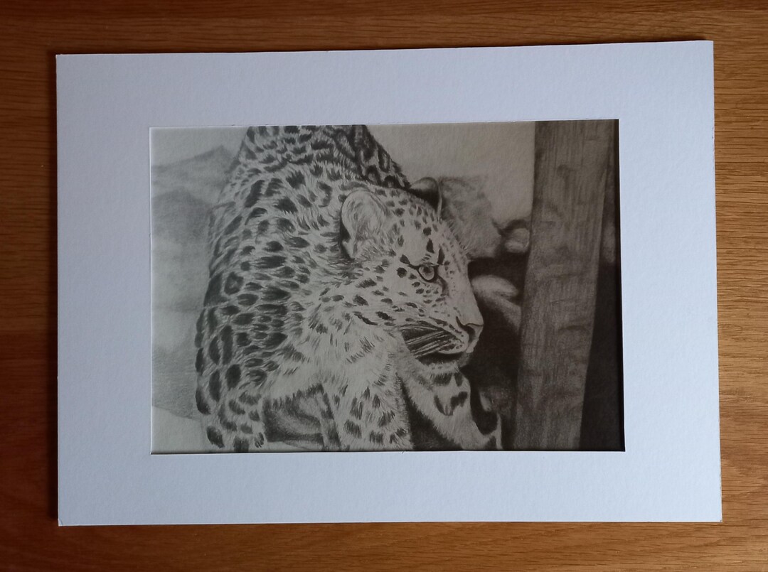 Amur Leopard on the Prowl. A Print From Original Drawing - Etsy