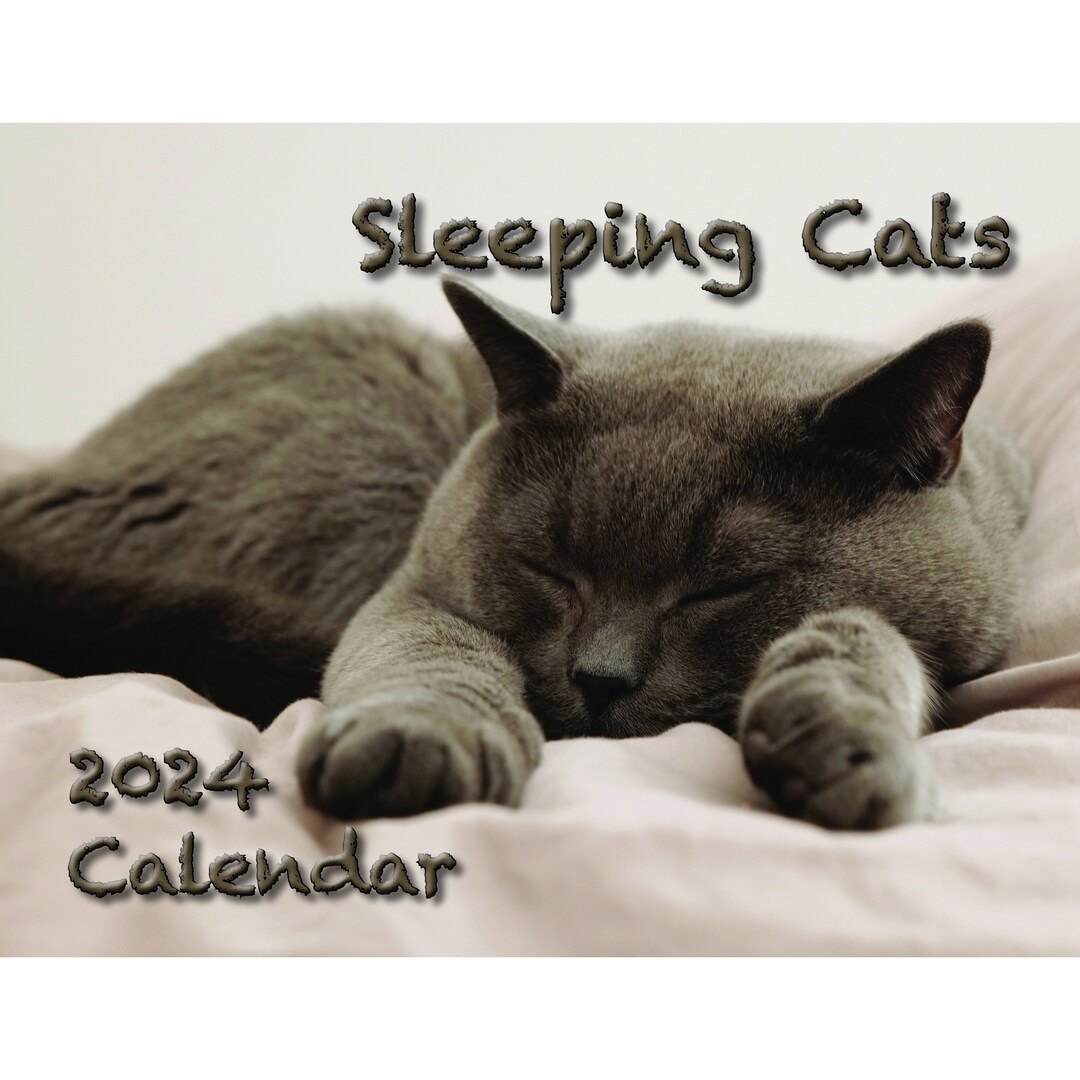 Sleeping Cats Calendar 2024 Cat Wall Calendar 2024, Cat Calendar, Cat ...