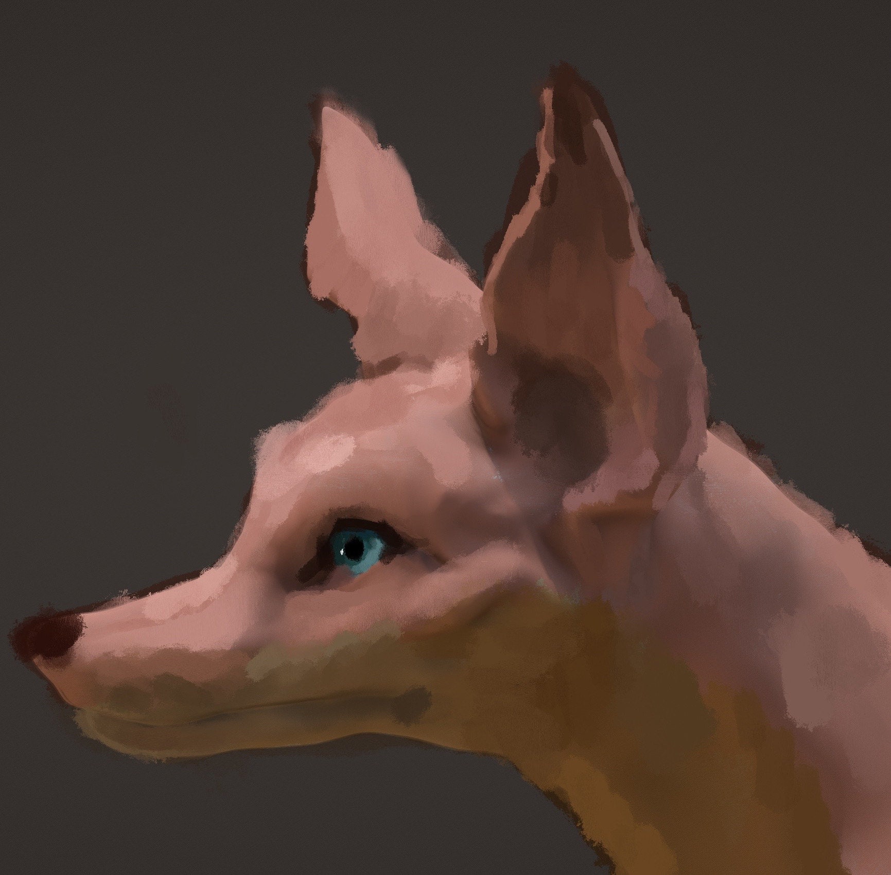 Realistic Fursona Headshots for Canidae Customizable - Etsy