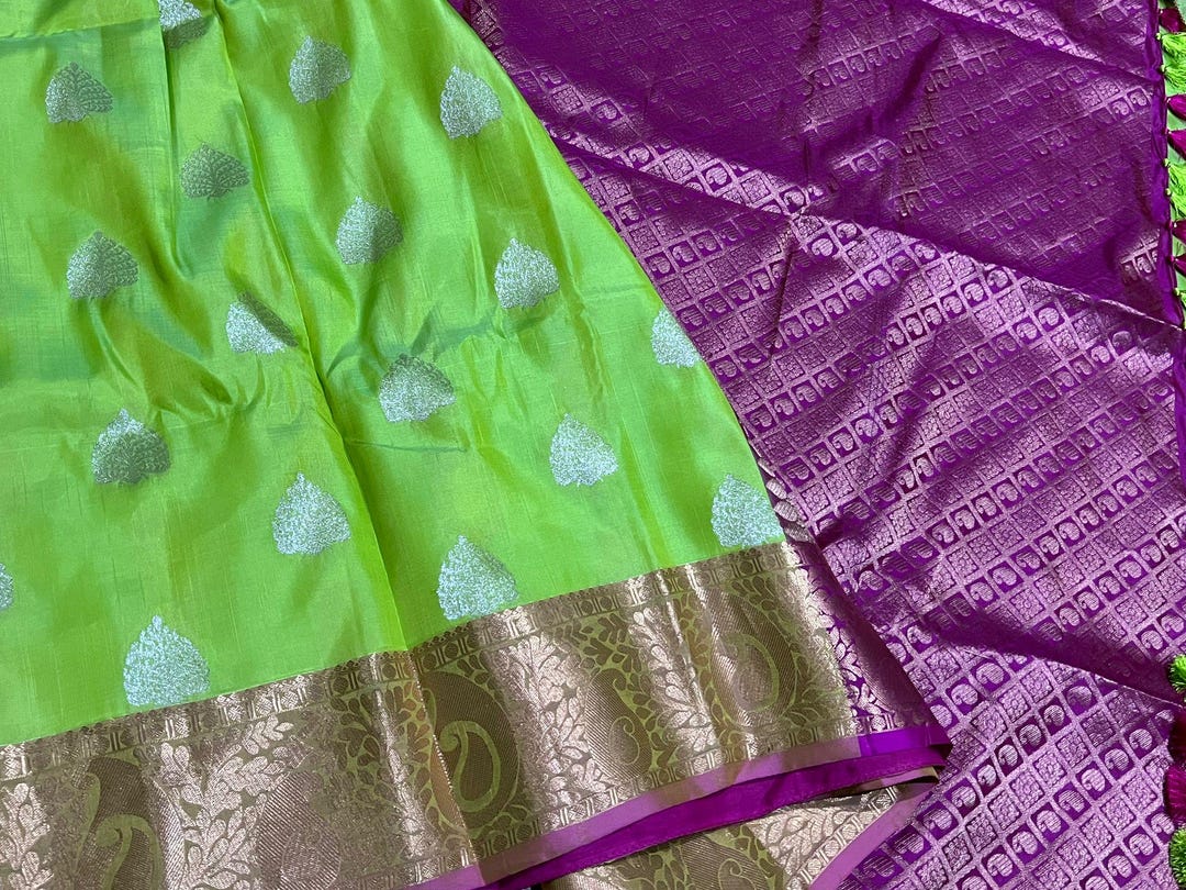 Elegant Pastel Green Uppada Pattu Saree With Kanchi Border and Silver ...