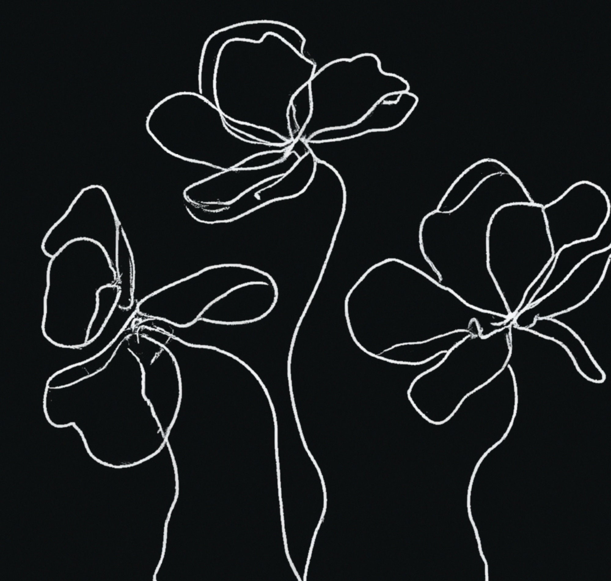 Floral Line Drawing - Etsy