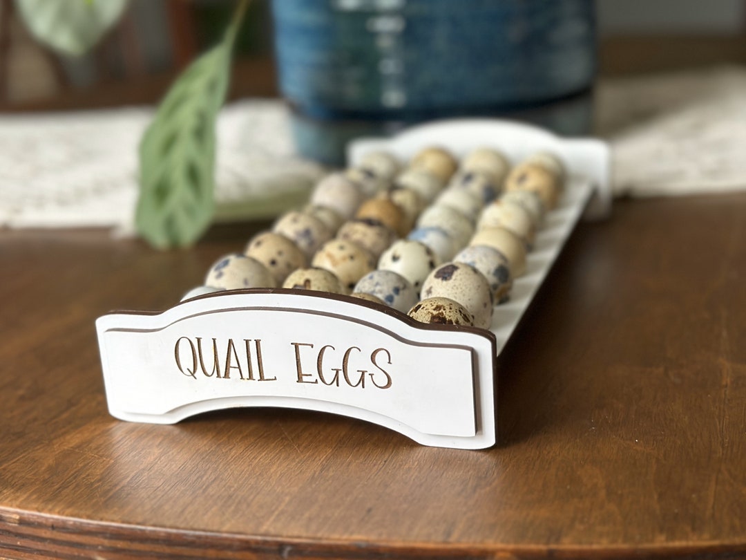 Quail Egg Countertop Egg Storage Coturnix Quail Egg Stand 32 Egg ...