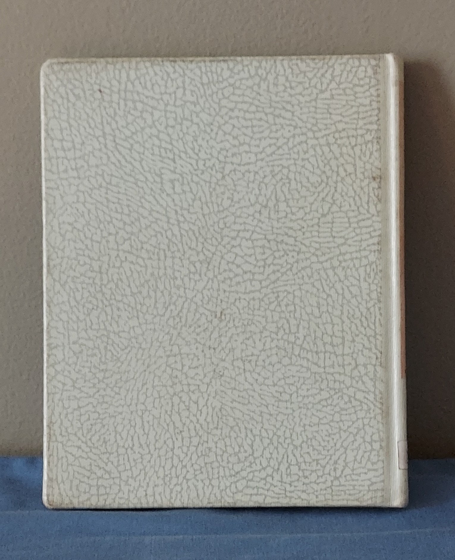 Chris Evert Childrens Book - Etsy