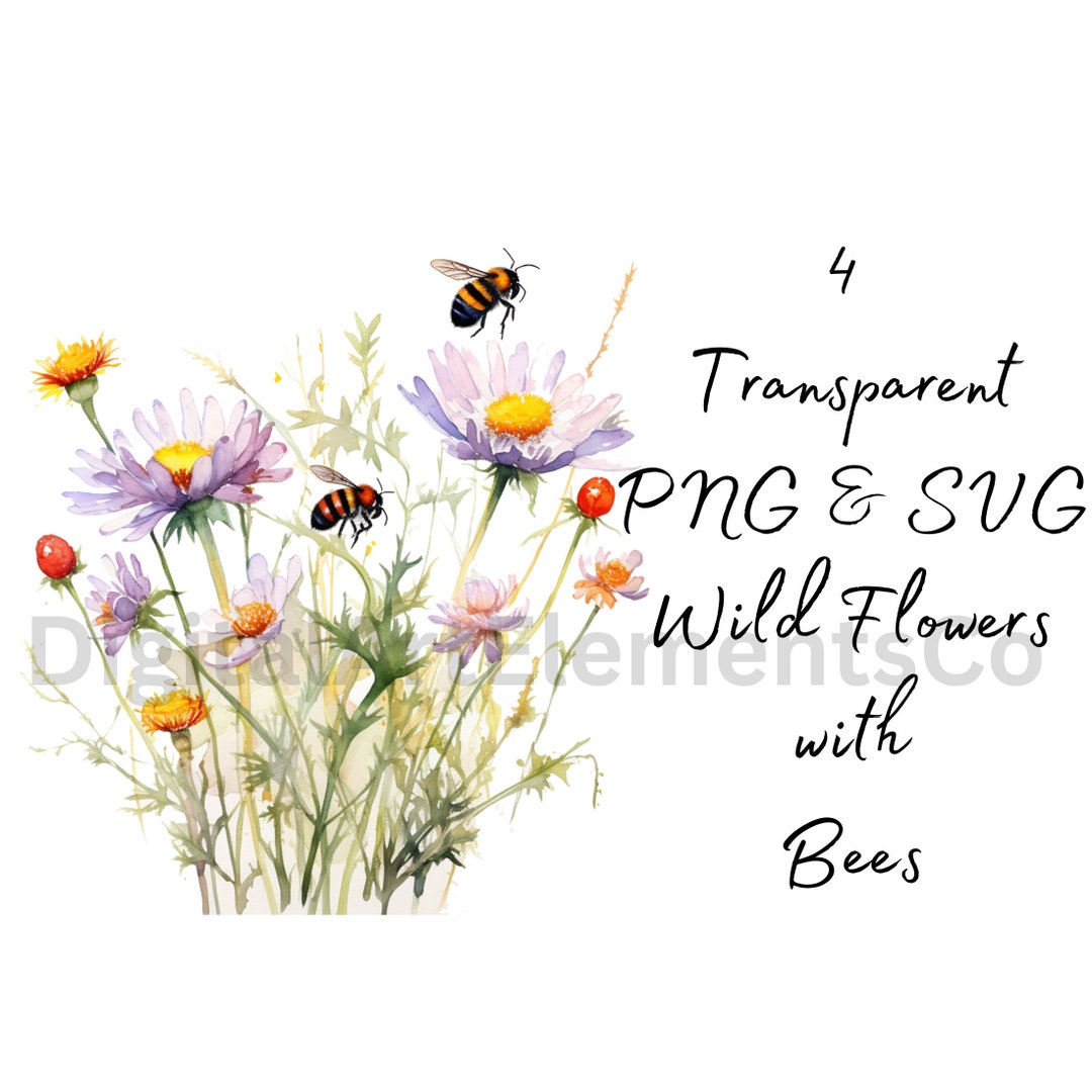 Wild Flower and Bee Premade Graphic, Commercial Use, Water Color PNG ...