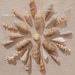 Handmade Shell Art - Starburst - Etsy
