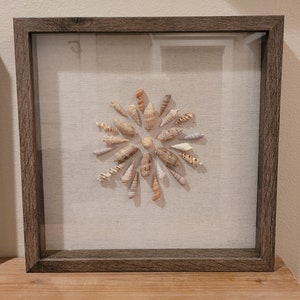 Handmade Shell Art - Starburst - Etsy